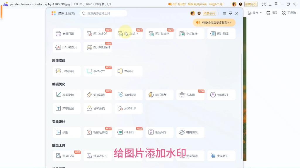 超级强大的图片智能编辑软件WPS工具箱!智能抠图编辑美化证件照