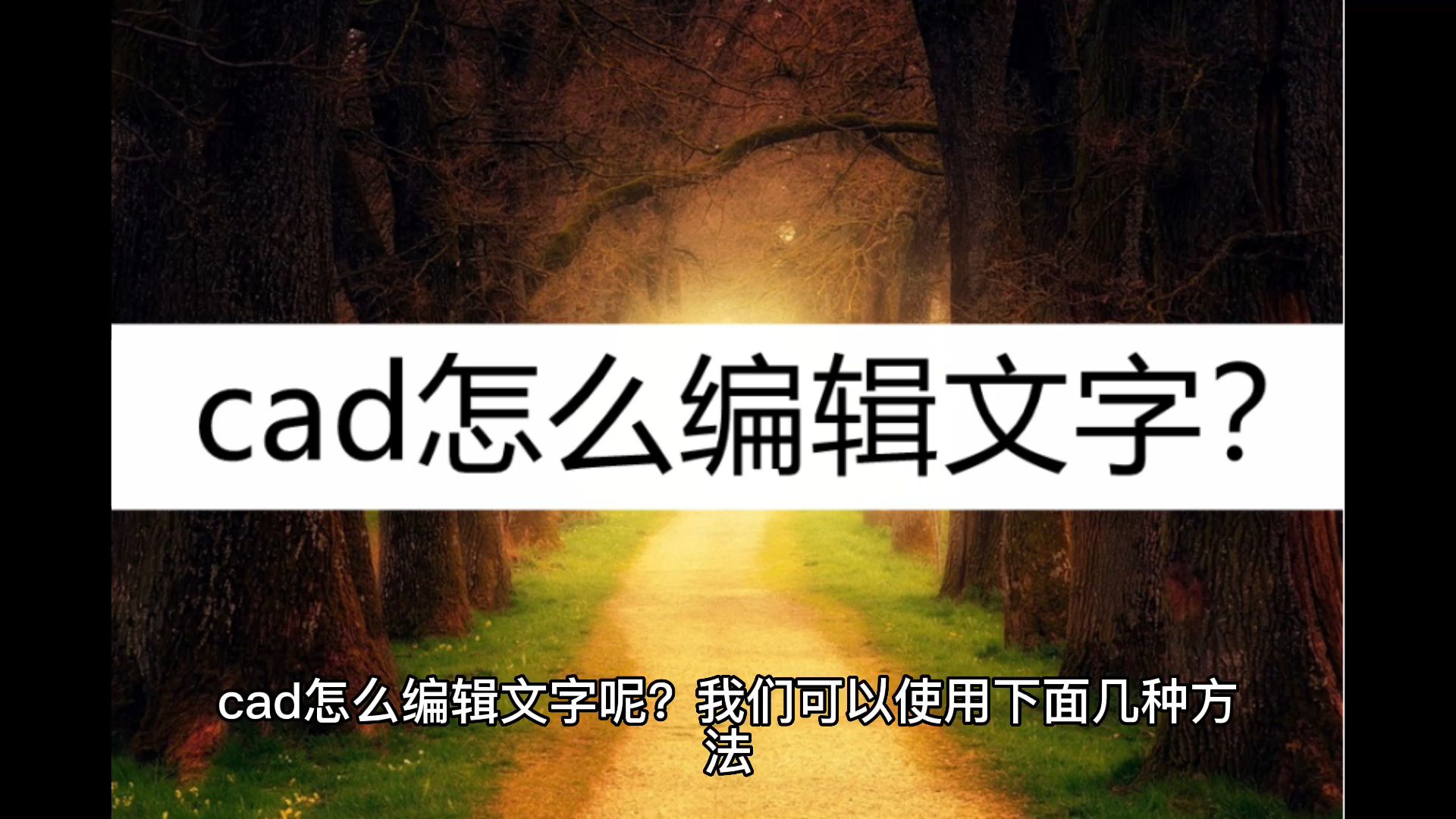 cad怎么编辑文字?具体编辑方法来了