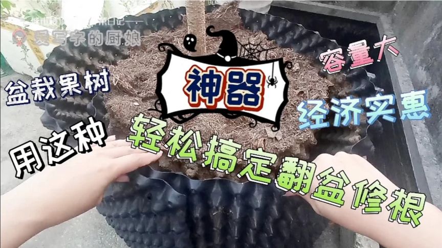 盆栽果树别再用花盆,这种神器又大又省还不用换盆,轻松换土修根