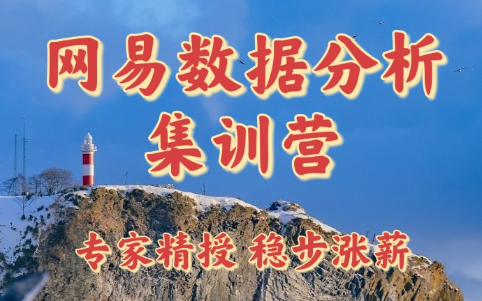 12周网易数据分析涨薪计划,12周数据分析实战营