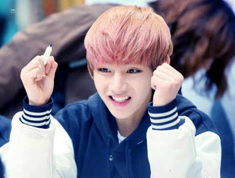 十二月份的小狮子 