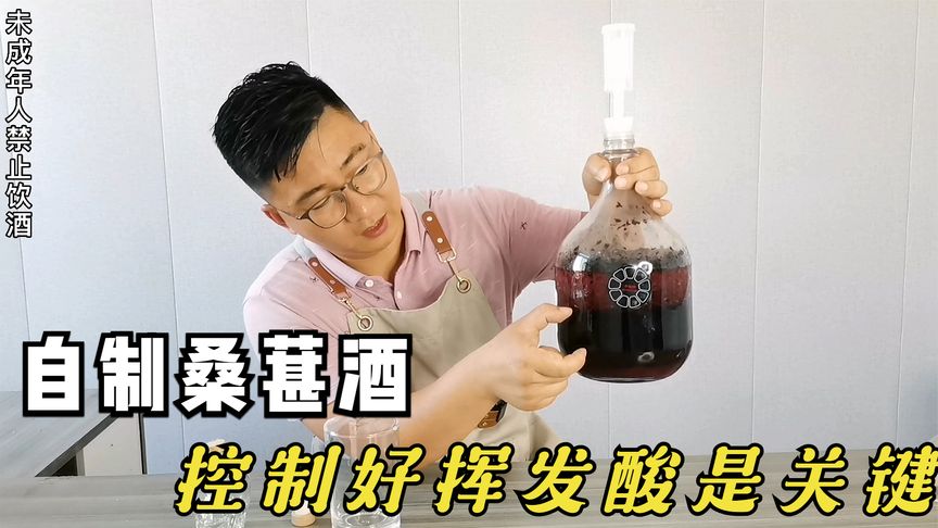 在家也能自酿桑葚酒,做法简单易学,控制挥发酸是自酿酒的关键