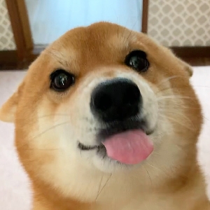 Tracy_QAQ 