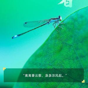 应声阿哥石敢当