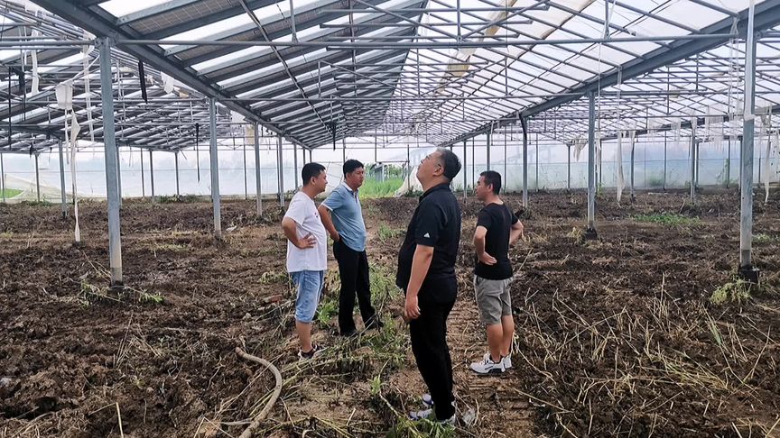 我为群众办实事,为政府和企业解决急难愁盼问题