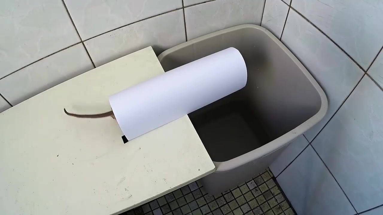 教你五种抓老鼠的简单方法