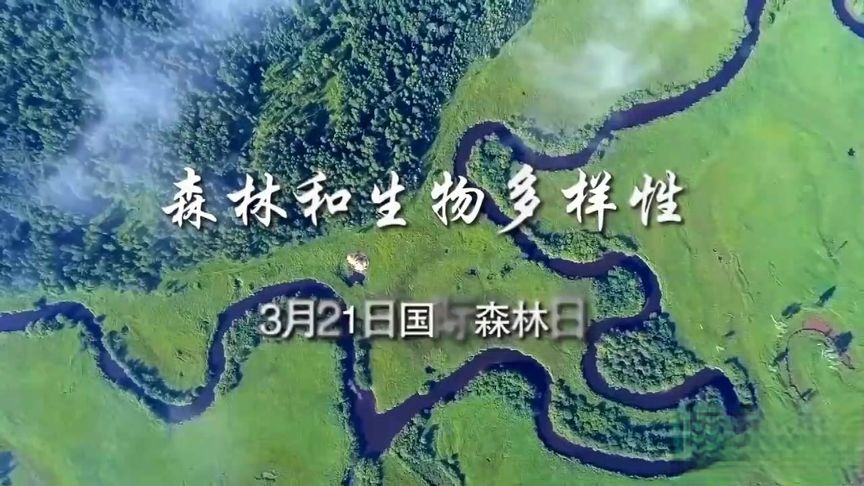 视频|森林与生物多样性