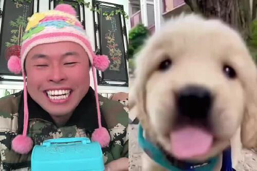 可爱的小狗狗,你们家有吗?
