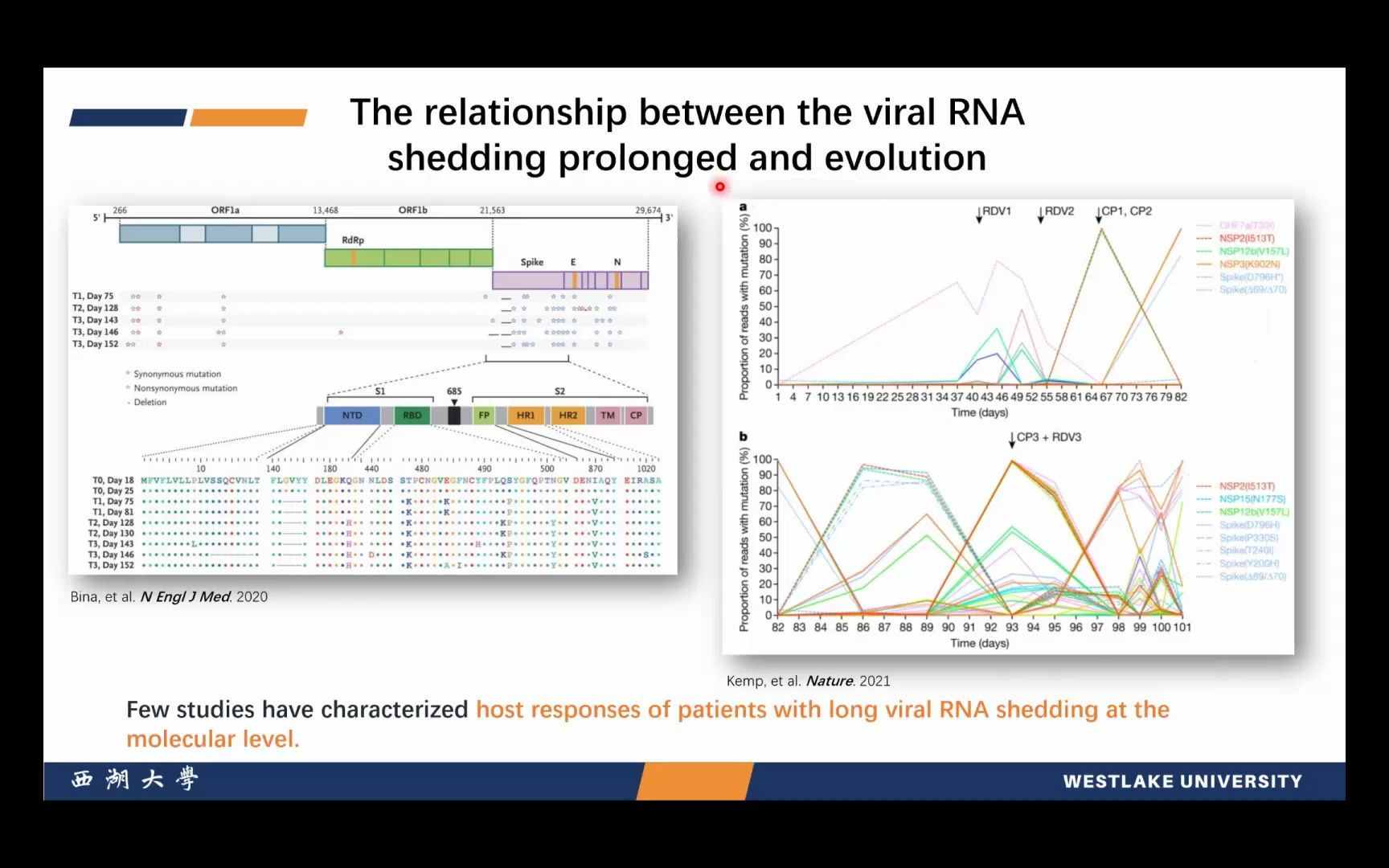 作者视角解读 | Cell Discovery:蛋白组学研究揭示新冠患者长阳机制