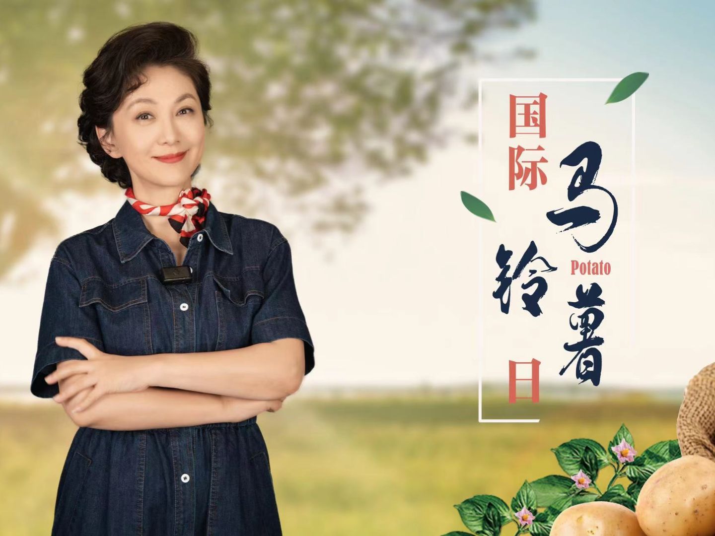 联合国为什么要给土豆过节?