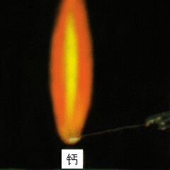 苛性氢有剧毒 