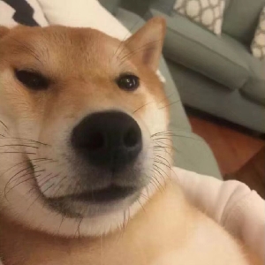 文煜优选好物分享 