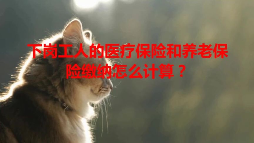 下岗工人的医疗保险和养老保险缴纳怎么计算?明明白白告诉你