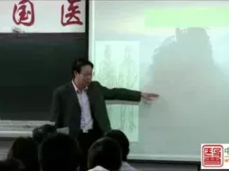 19.针灸作用理论(一)