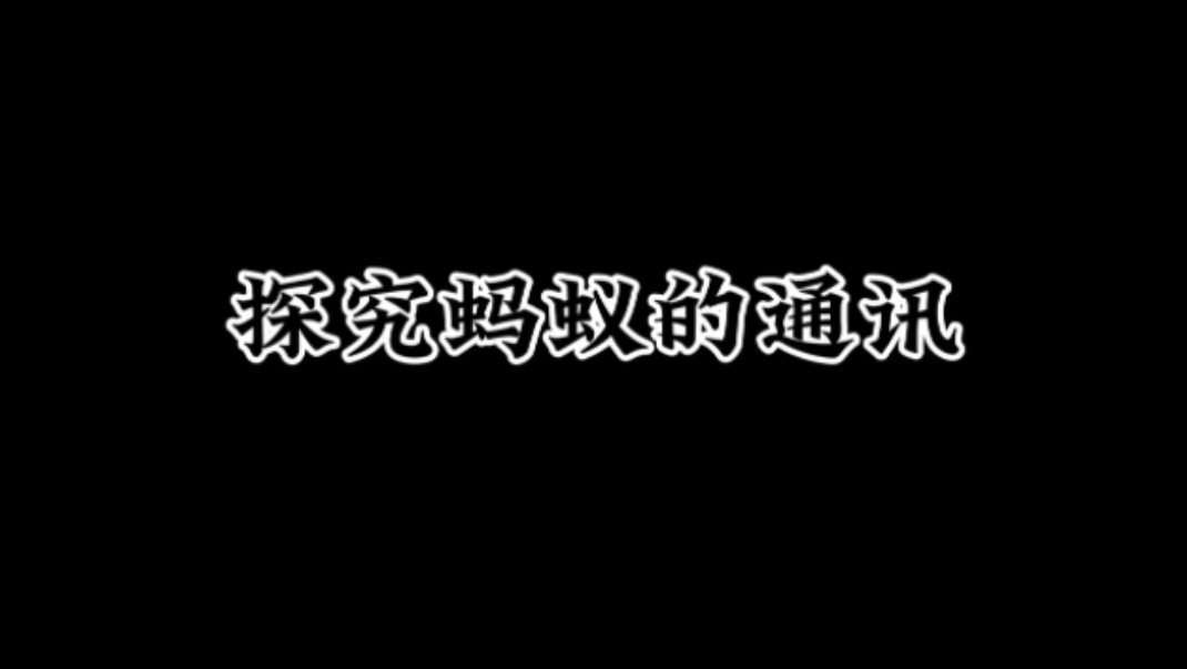 《探究蚂蚁的通讯》初中生物|社会行为|演示实验