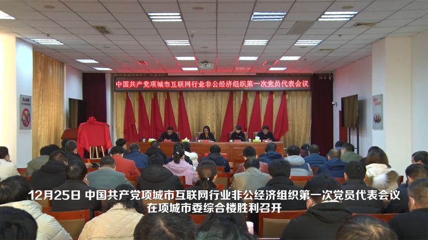 中国共产党项城市互联网行业非公经济组织第一次党员代表会议
