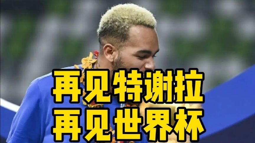 再见卡塔尔世界杯,苏宁放弃特谢拉,国足损失一条归化大腿