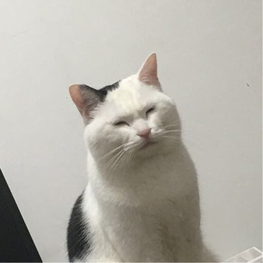 电力十足的奶牛 