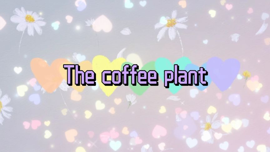 用英文介绍咖啡!本月老倾情求关注啦!\(^▽^)/!