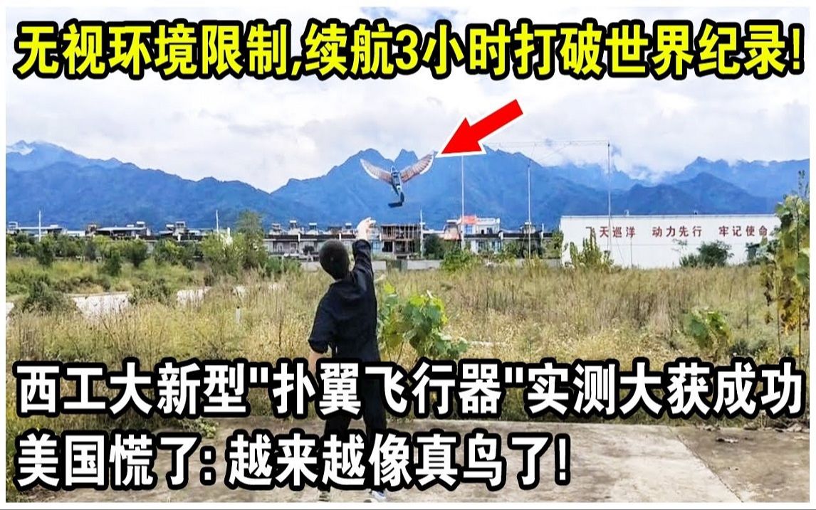 无视环境限制,续航3小时打破世界纪录! 西工大新型“扑翼飞行器”...