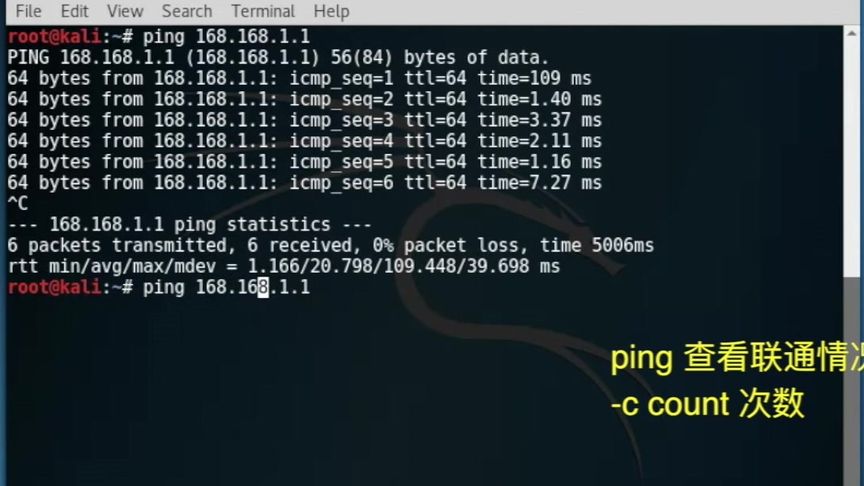 每日linux56 netstat命令 ping命令