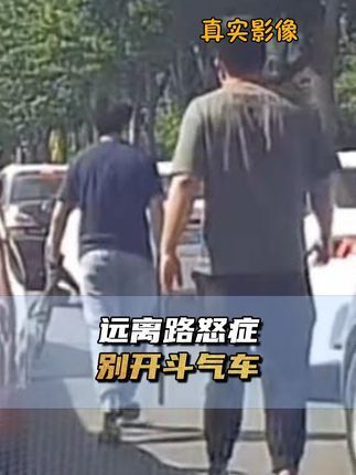 路怒症有多可怕!男子怒吼上前理论,随后又返回拿出棍棒 #近代史 #人物...