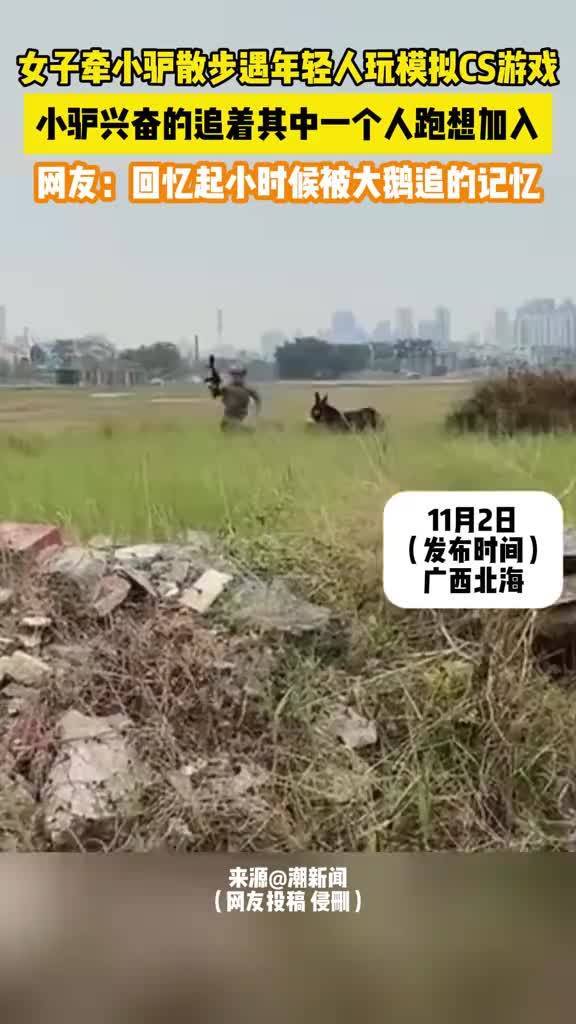 女子牵着小驴散步遇年轻人玩模拟CS,激动狂追想加入