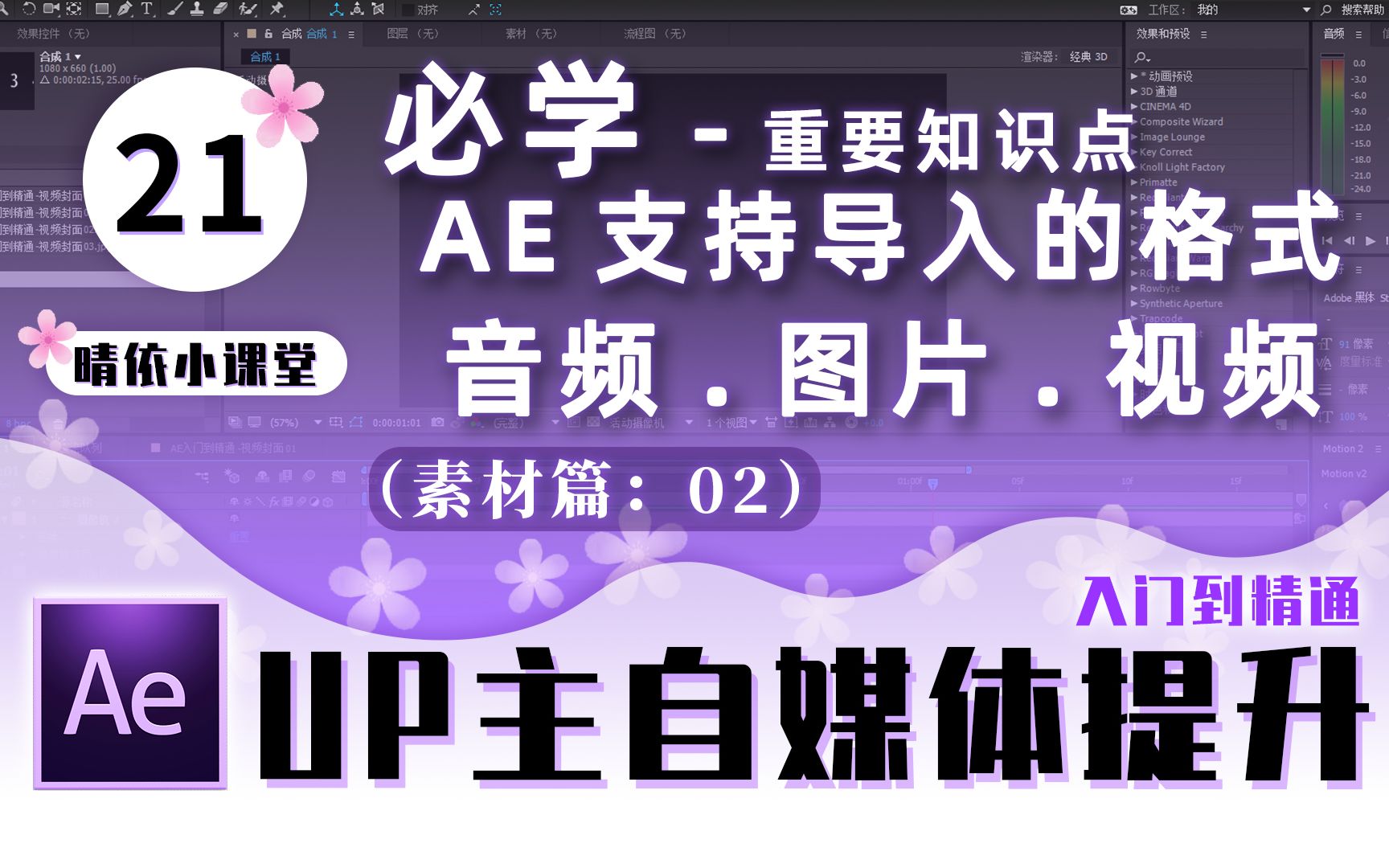 【AE教程】21:AE支持导入的格式:音频、图片、视频!「晴依小课堂」...