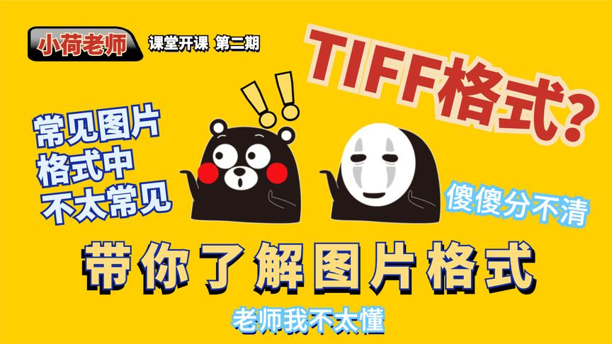 不懂TIFF?带你快速了解常见图片格式——TIFF详解