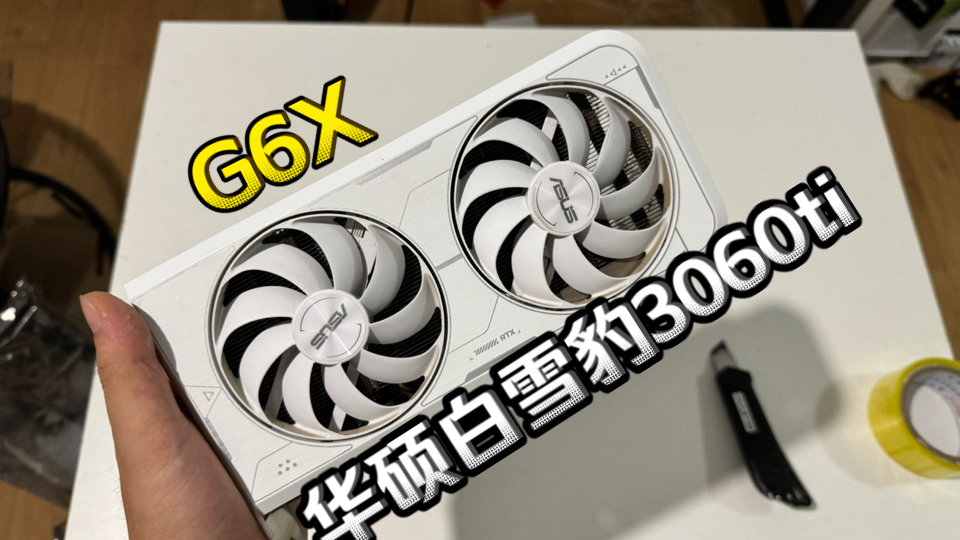 20240917华硕3060Ti GD6X白雪豹双风扇显卡