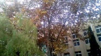河南省经济管理学校_20121125_132526