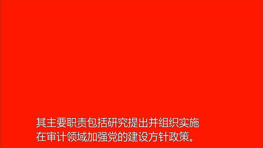 政府审计机关在管理体制上有什么特点?