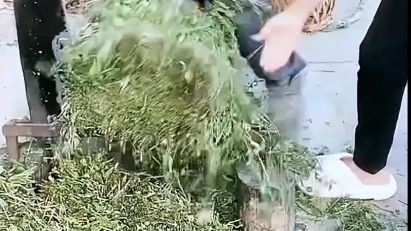 记录真实的农村生活