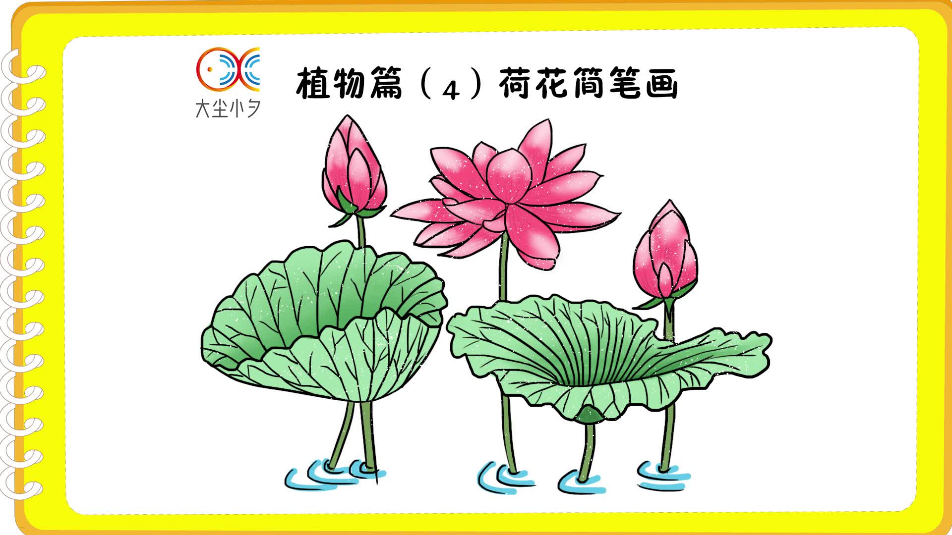 植物篇(4)荷花简笔画教程