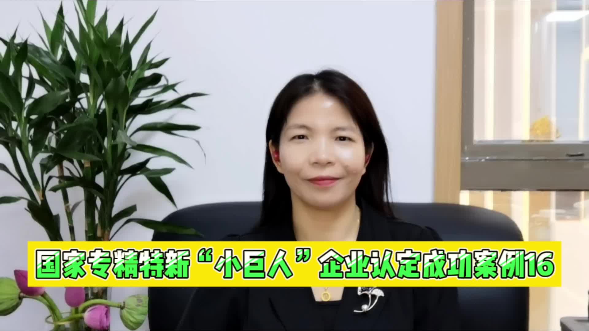 国家专精特新“小巨人” 企业认定成功案例16