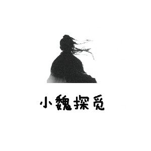 小魏探觅 