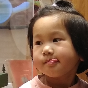 东风送你下地狱 