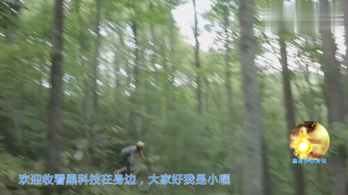 黑科技全路况电动自行车,沙滩雪地山路如履平地,你不信吗?