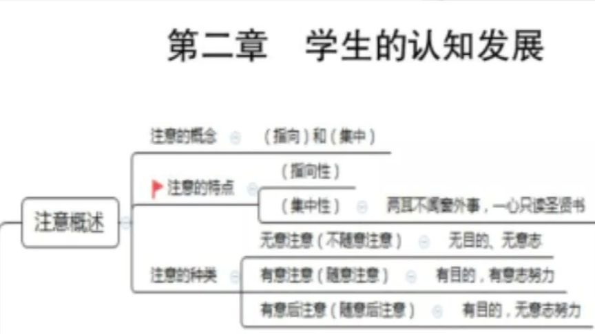 注意1 注意概述