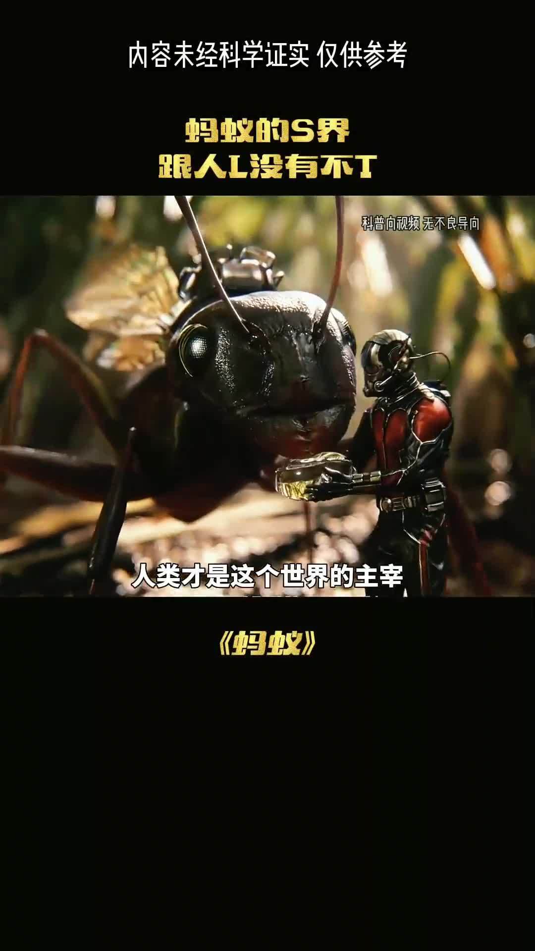 人类所认知的世界真实的吗?