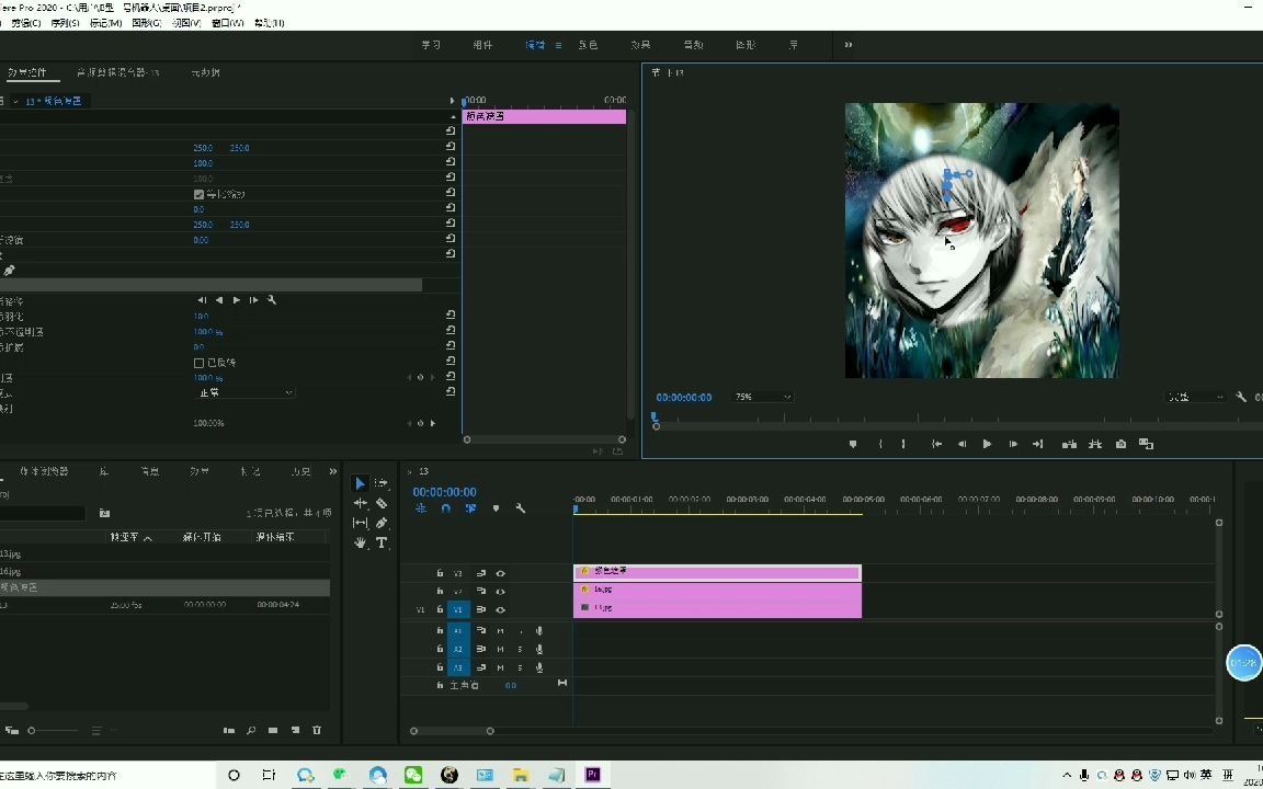 pr教程用图片做出唱片特效,2分钟学会