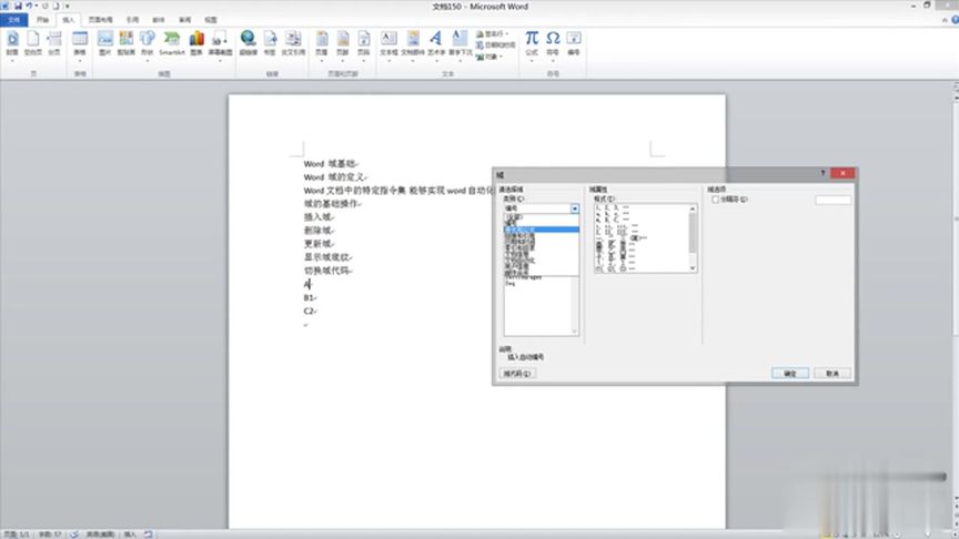 【Word2010】基础教程：第39讲，Word域基础