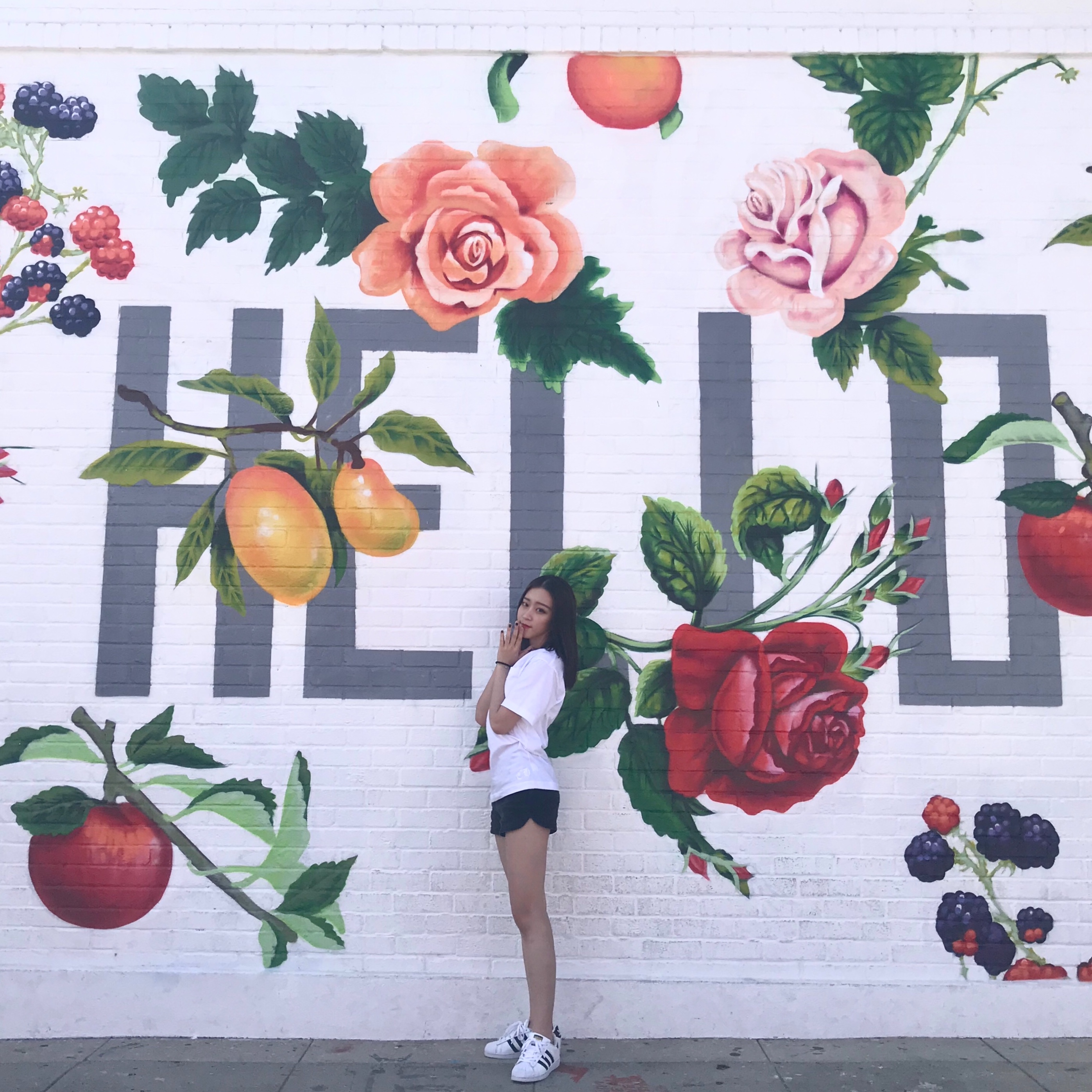 小童的平行世界 