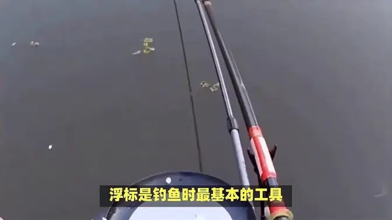 钓鱼浮标有什么用浮标不同用法不同