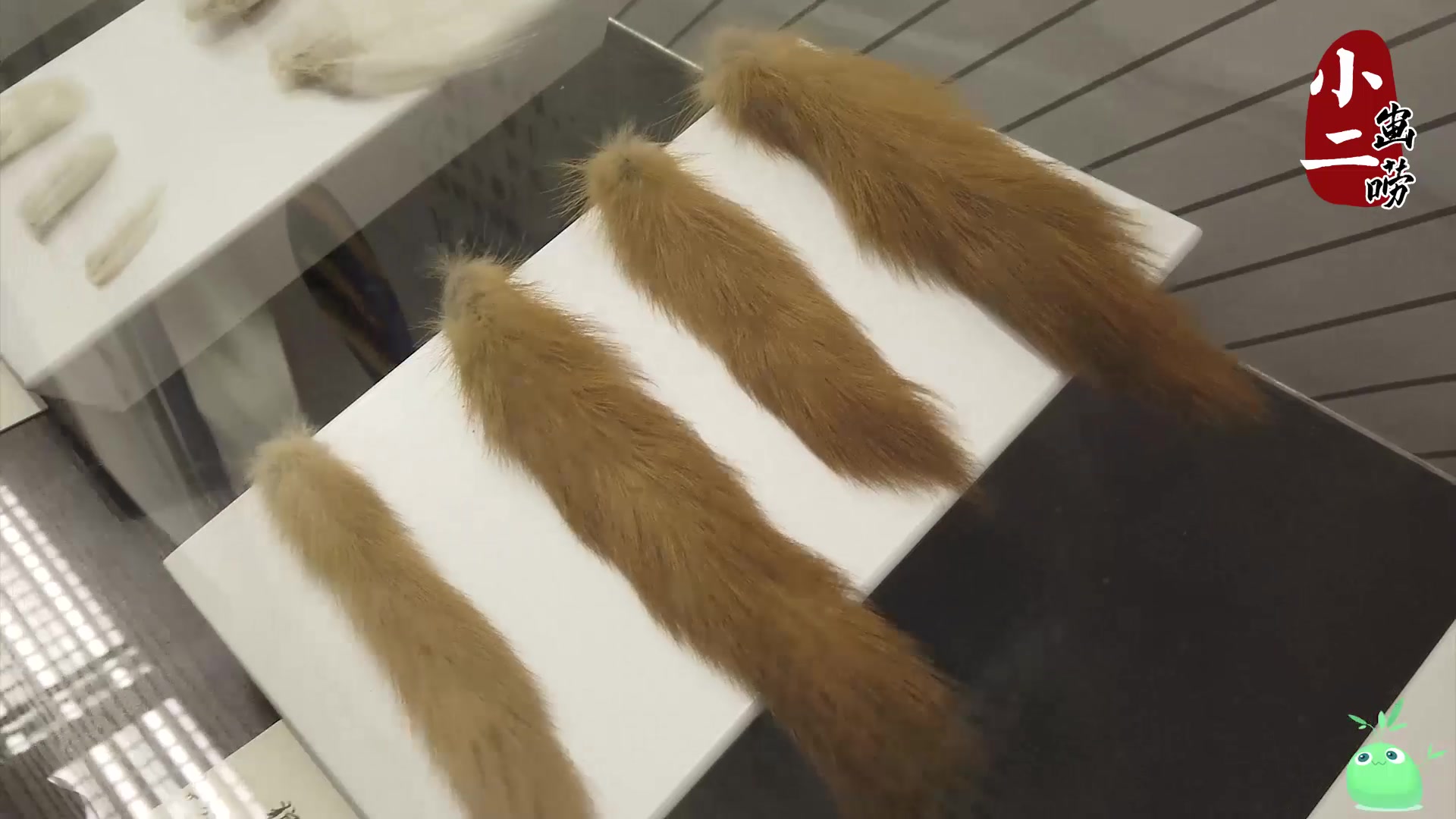 你没见过的文房四宝展之二 笔篇