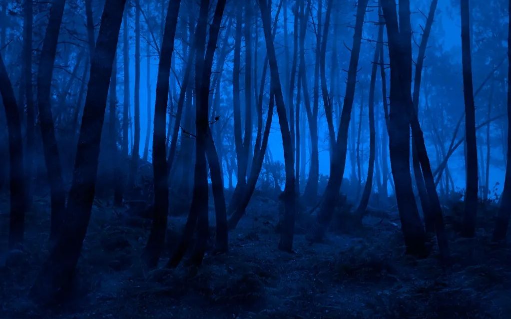 熊出没之互动视频《木屋惊魂》(上集完整版)