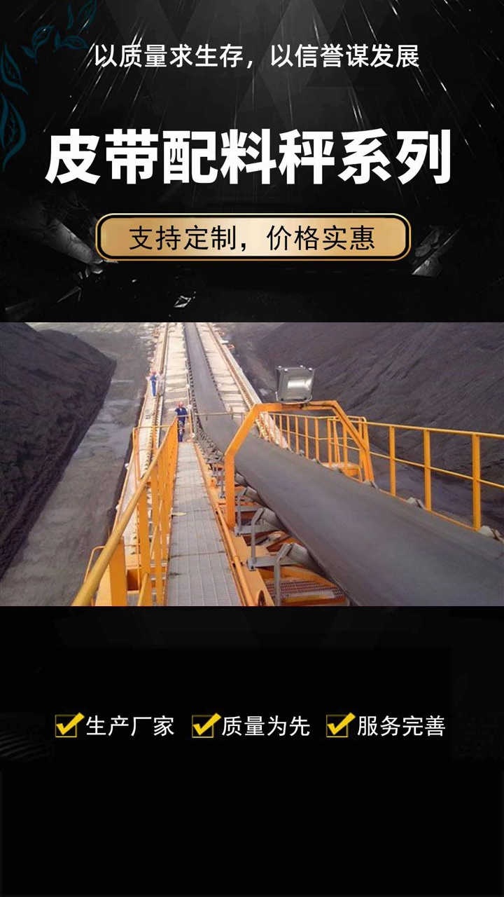 怎样校准电子皮带秤? #调速皮带秤 #山东电子皮带秤公司 #贵州配料...