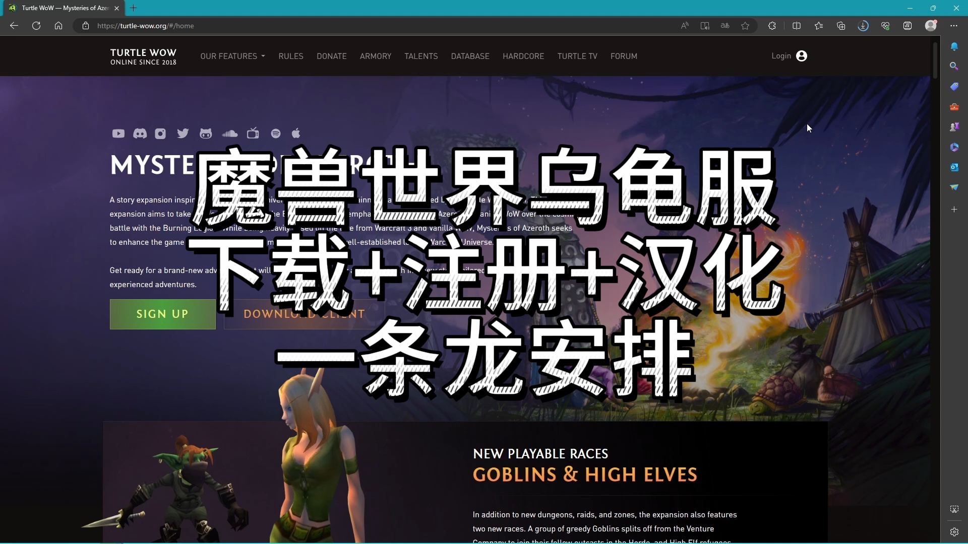 魔兽世界乌龟服下载+注册+汉化,一条龙教程给你安排的明明白白
