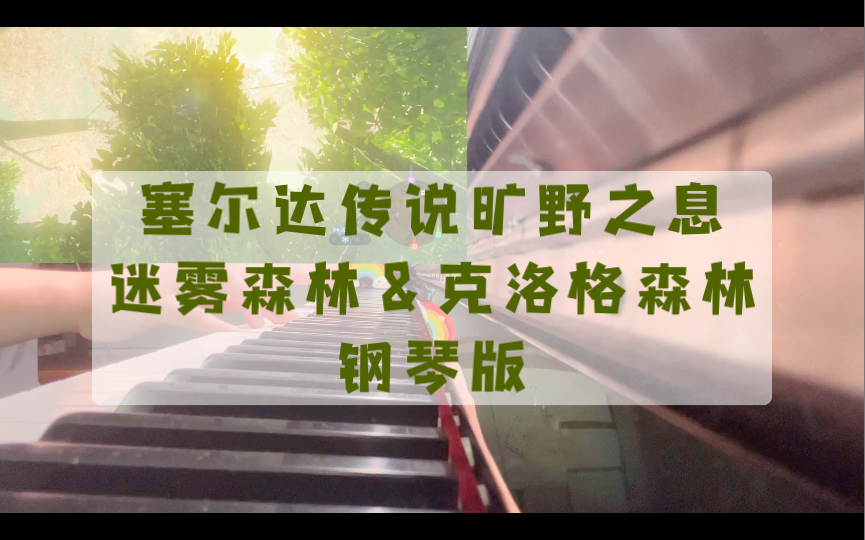 塞尔达传说旷野之息-迷雾森林-克洛格森林-钢琴版