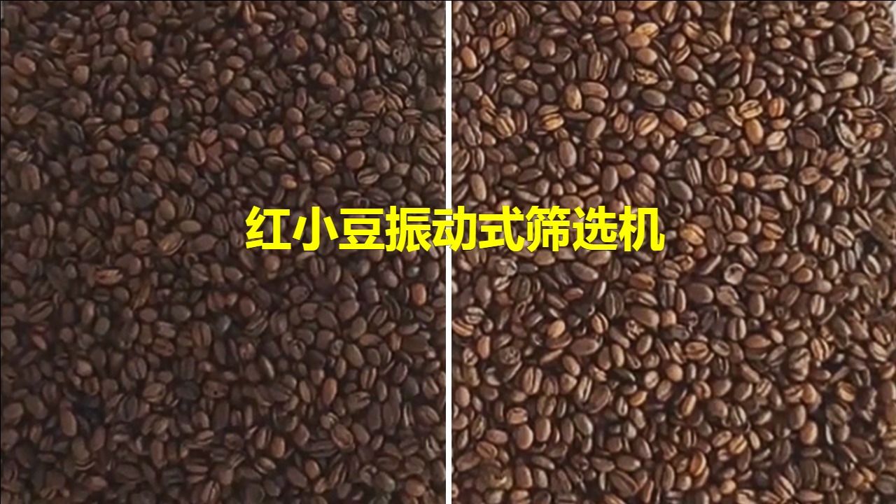 智能化红小豆振动式筛选机:打造高品质黄豆的秘诀